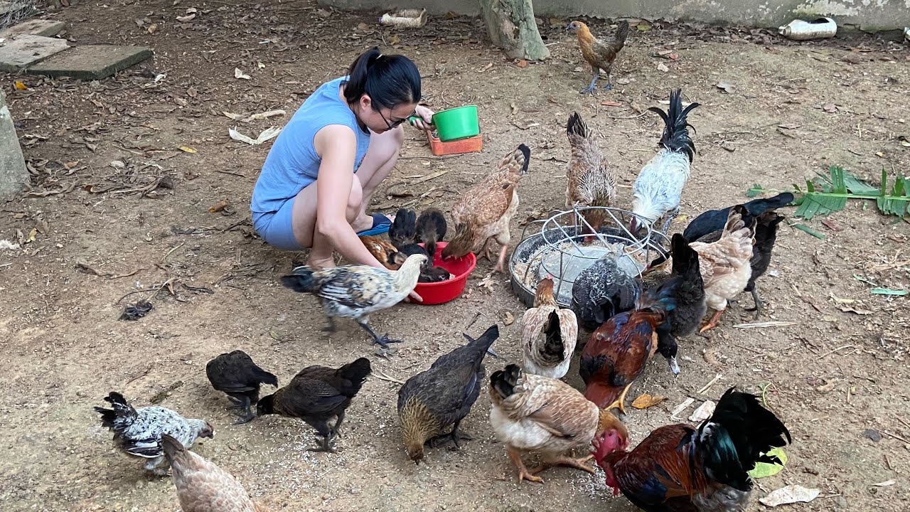 My wife takes care of poultry, grows vegetables, buries concrete poles and fishes for lunch ...