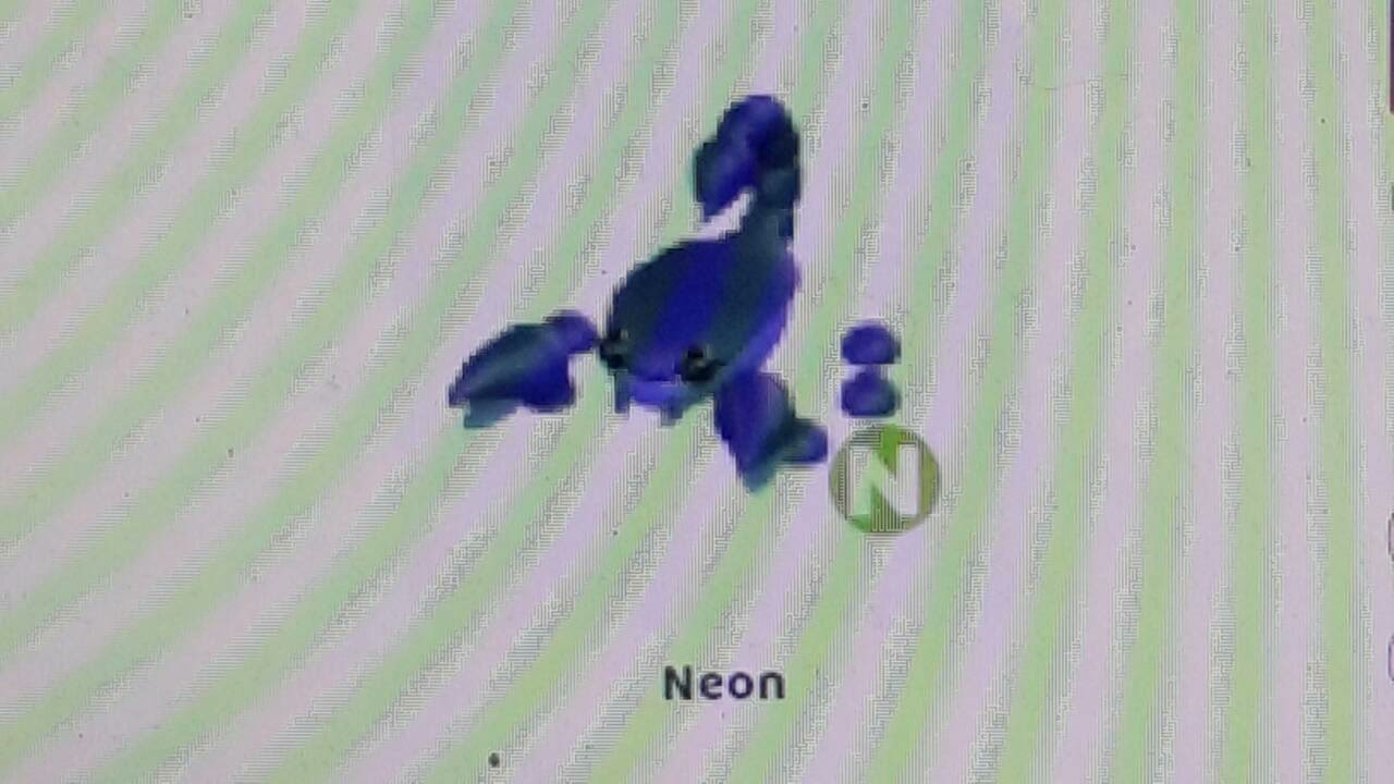 taking offers for new neon scorpion adopt me - YouTube
