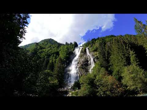 Random video #youtubeshorts #youtube #ytshorts #nature