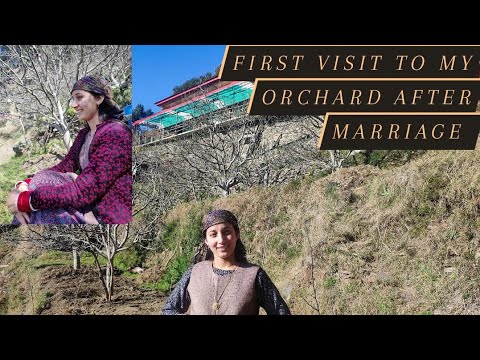 My first visit to My Orchard After Marriage 🤗🤗🤗 - YouTube