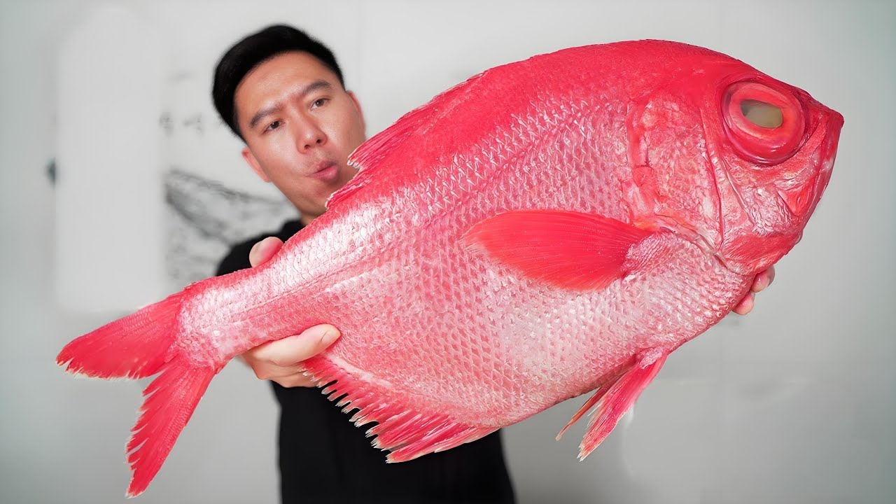 试吃巨大金眼鲷，眼睛比鸡蛋还大，上等刺身，强烈推荐【小文哥吃吃吃】 - YouTube