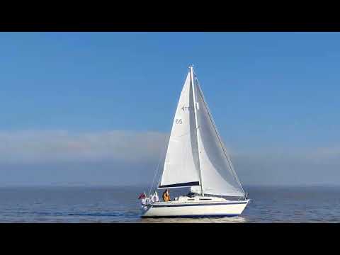 Sigma362 and Westerly tempest sailing on the humber - YouTube