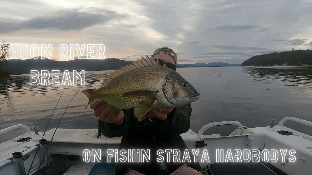 Chasing Winter Bream on Hardbody Lures - Huon River Tasmania - YouTube