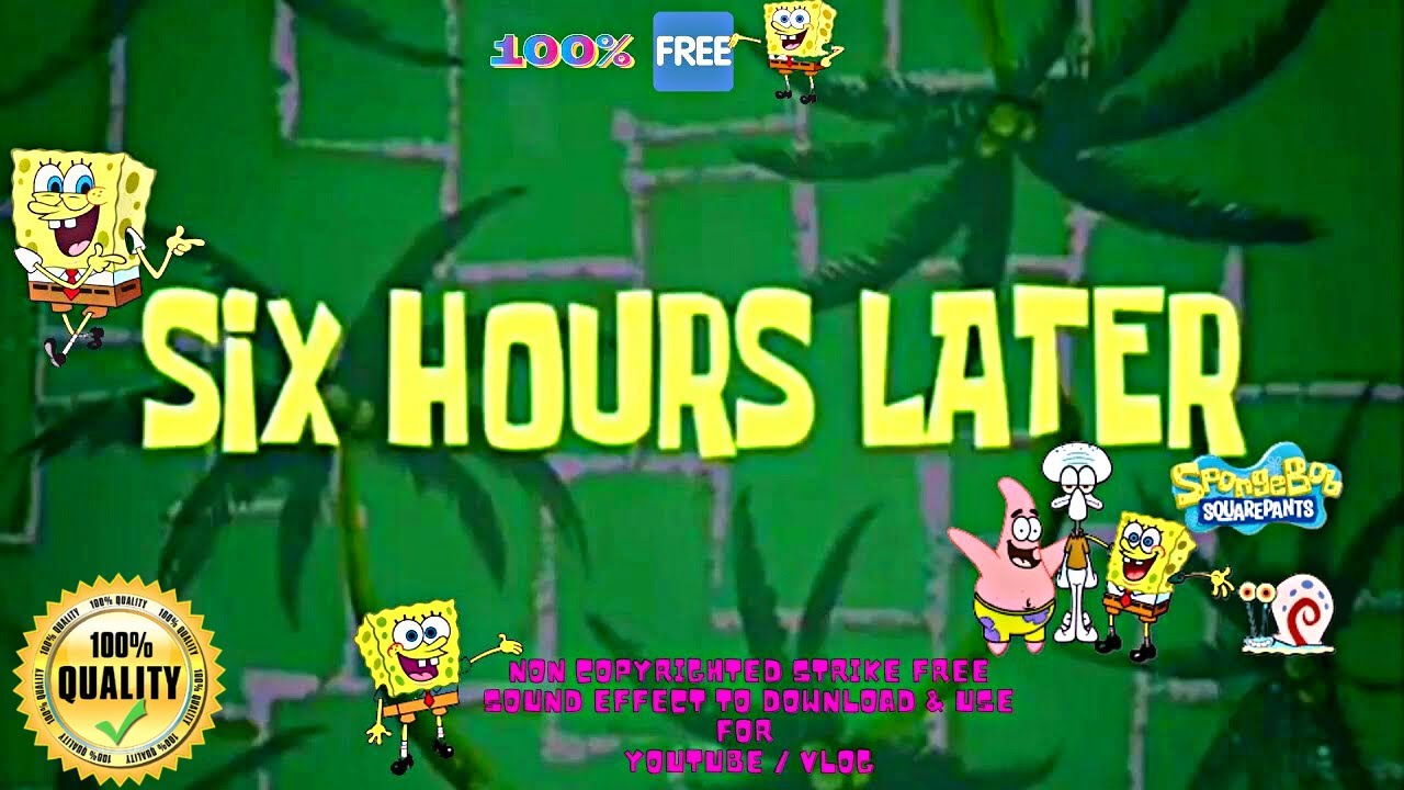 6 Hours Later Spongebob Hot Sex Picture
