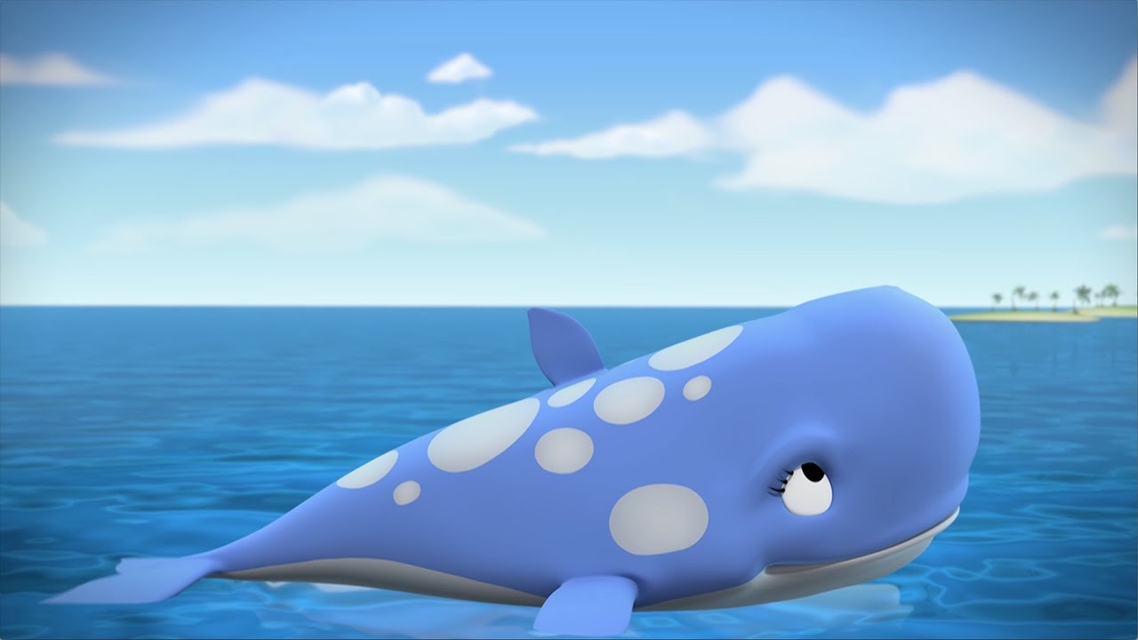 Monkey meets Whale | Monkey See Monkey Do | Monkey Gags - YouTube