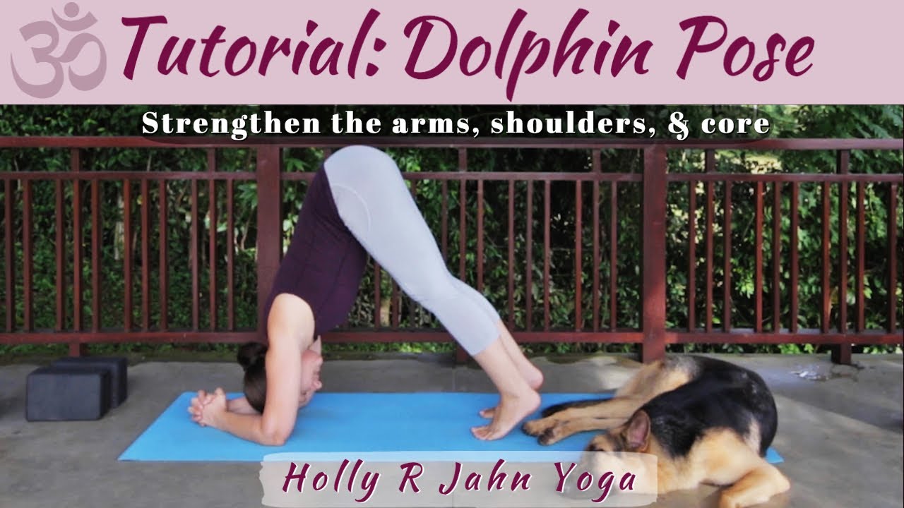 Dolphin Pose Tutorial - YouTube