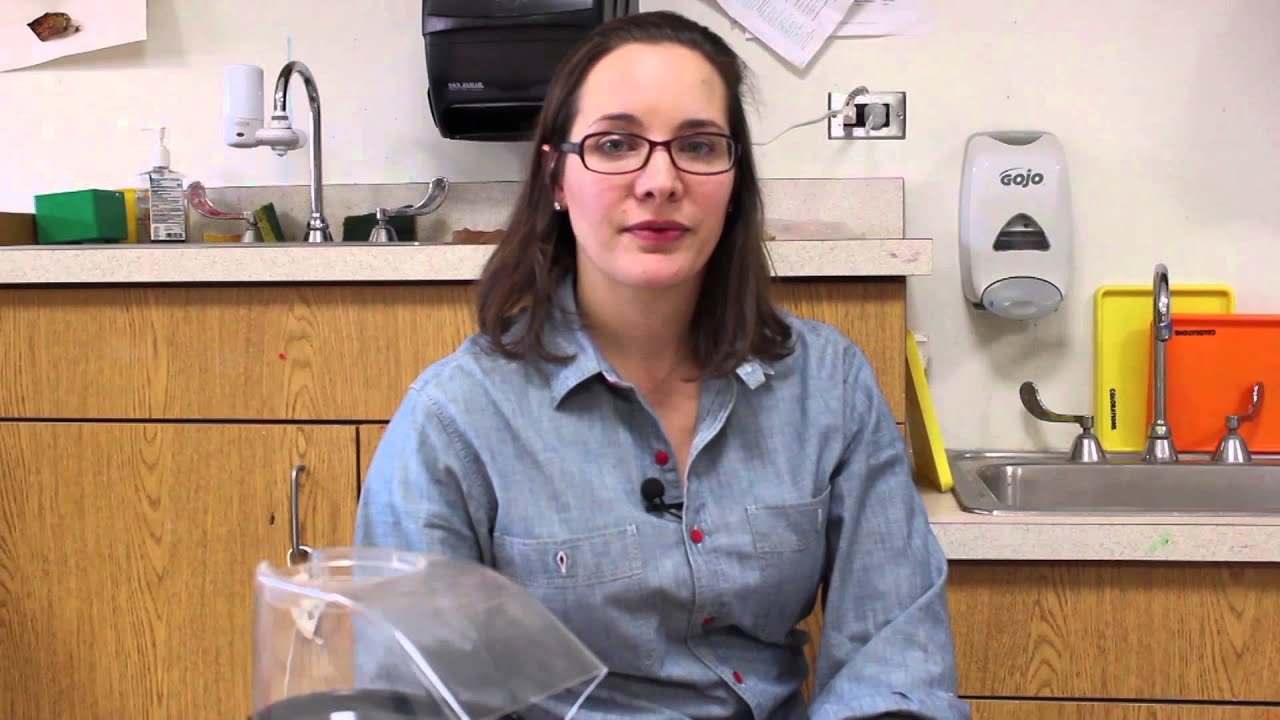 Exploring the Five Senses Using Popcorn in Kindergarten : Creative ...