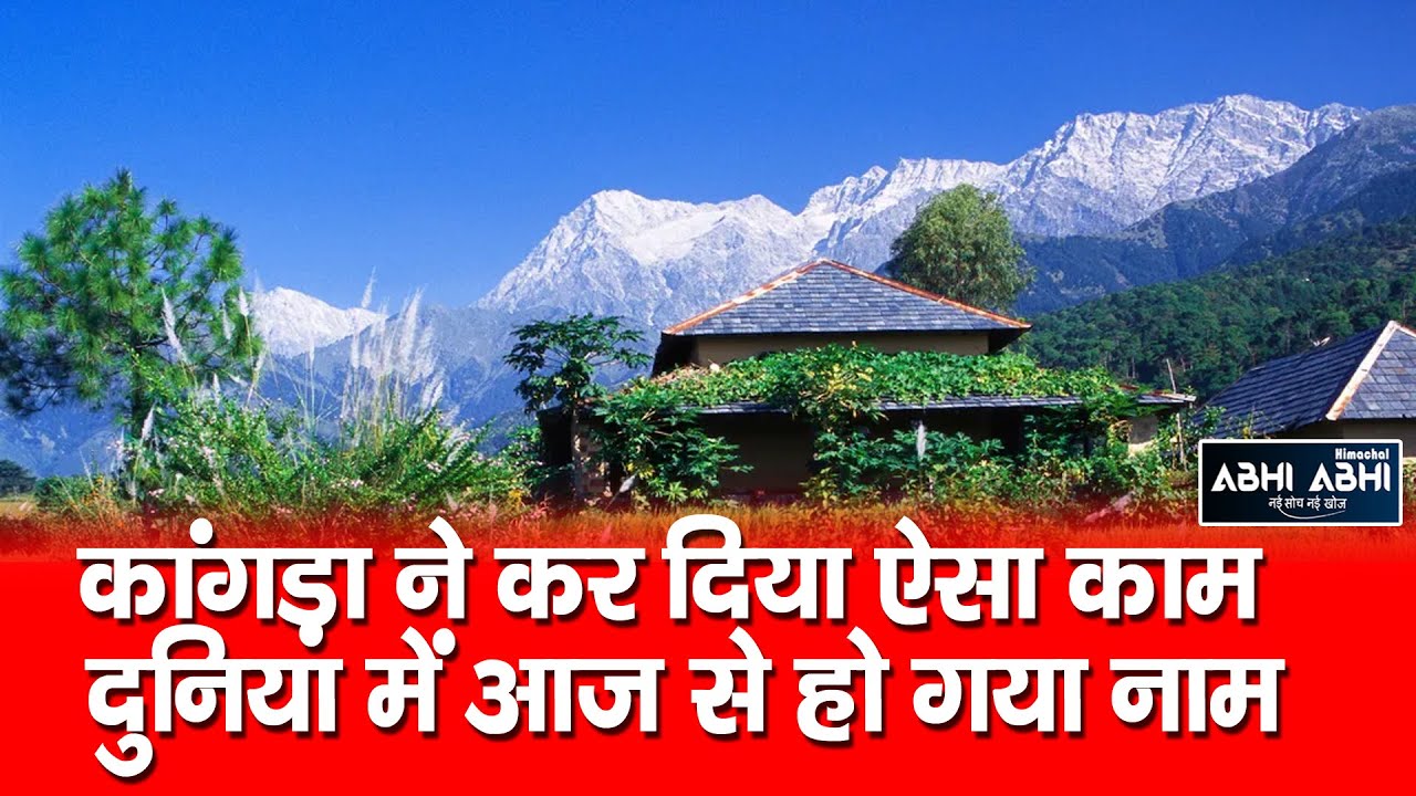 European GI Tag | Kangra Tea | Great Achievement | - YouTube