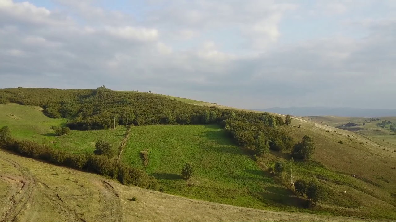 Pester - YouTube