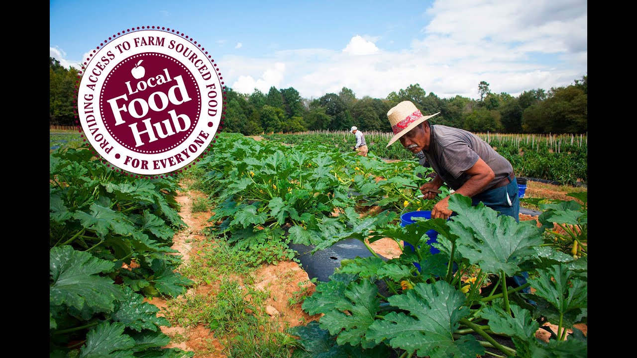 Local Food Hub - YouTube