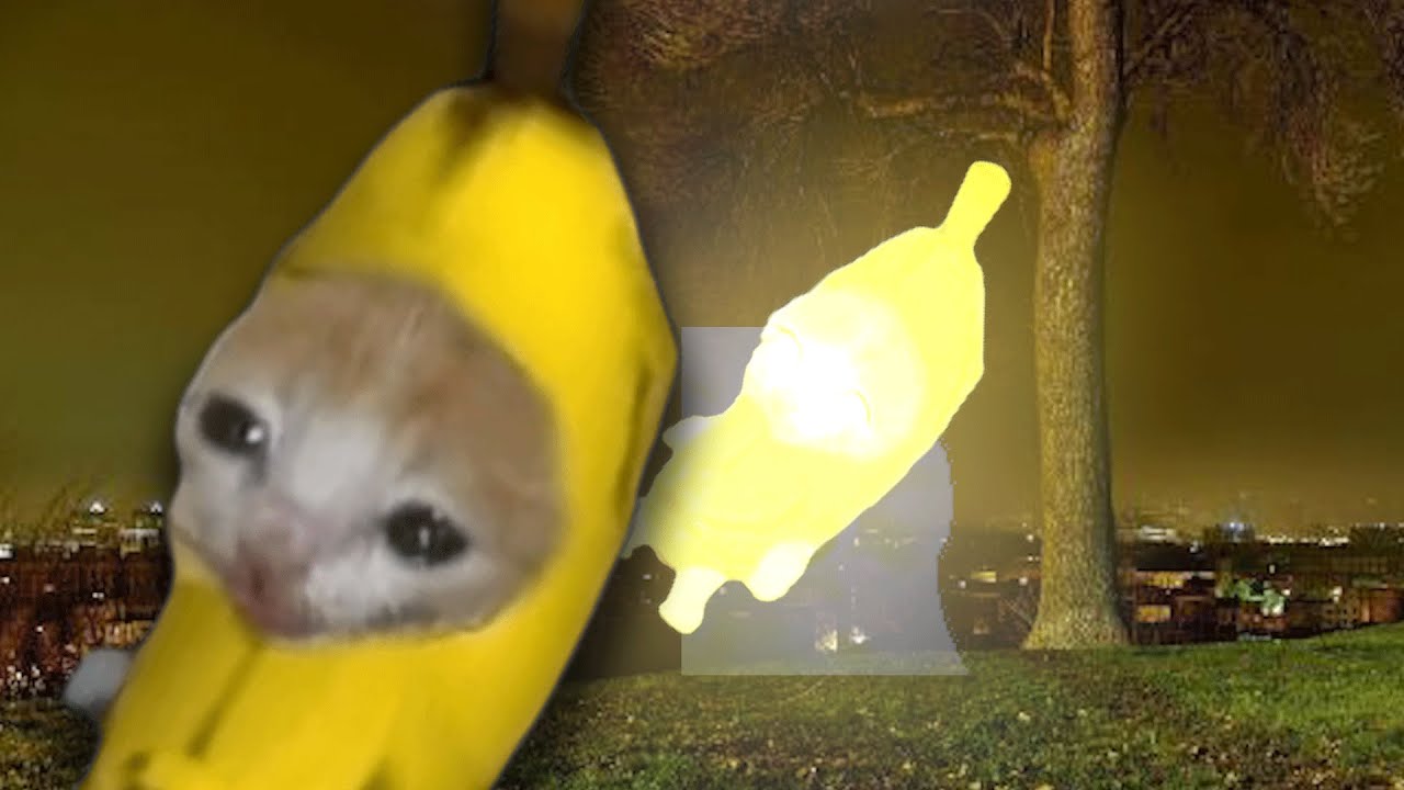 SUPER BANANA CAT 🍌🐱 : ORIGIN - YouTube