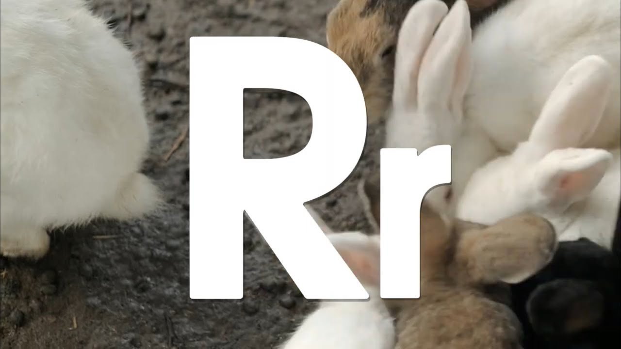 EASY PHONICS LETTER Rr | English Learning For Children | Phonics | The ...