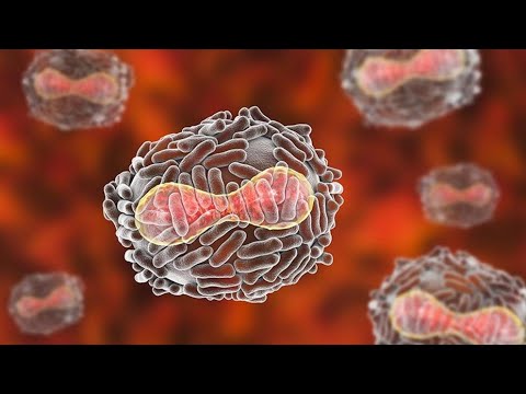 Virus  VIRUELA