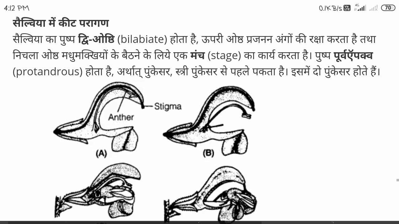 Class 12 ncert biology chapter 2 (part 28) - YouTube