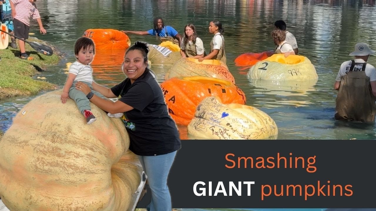 Took my baby to Giant Pumpkin Festival in Elk Grove - YouTube