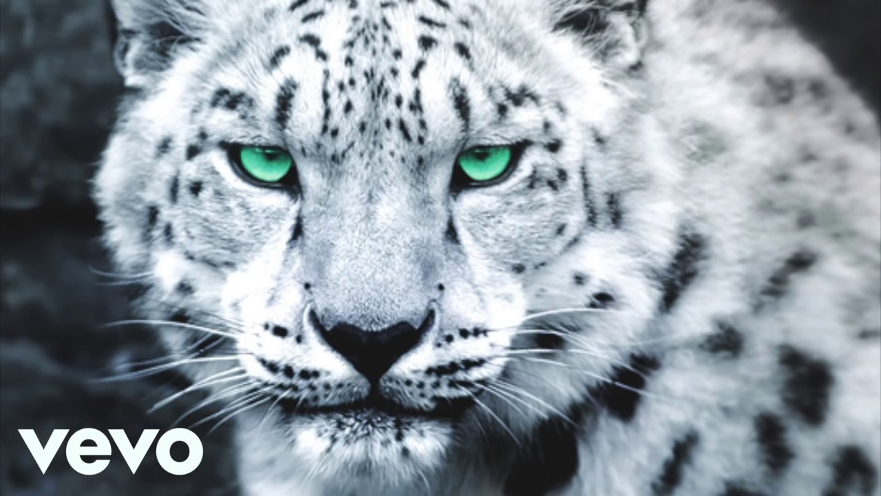 [New] Future, Drake ~ The Jungle (Music Video 2020) - YouTube Music