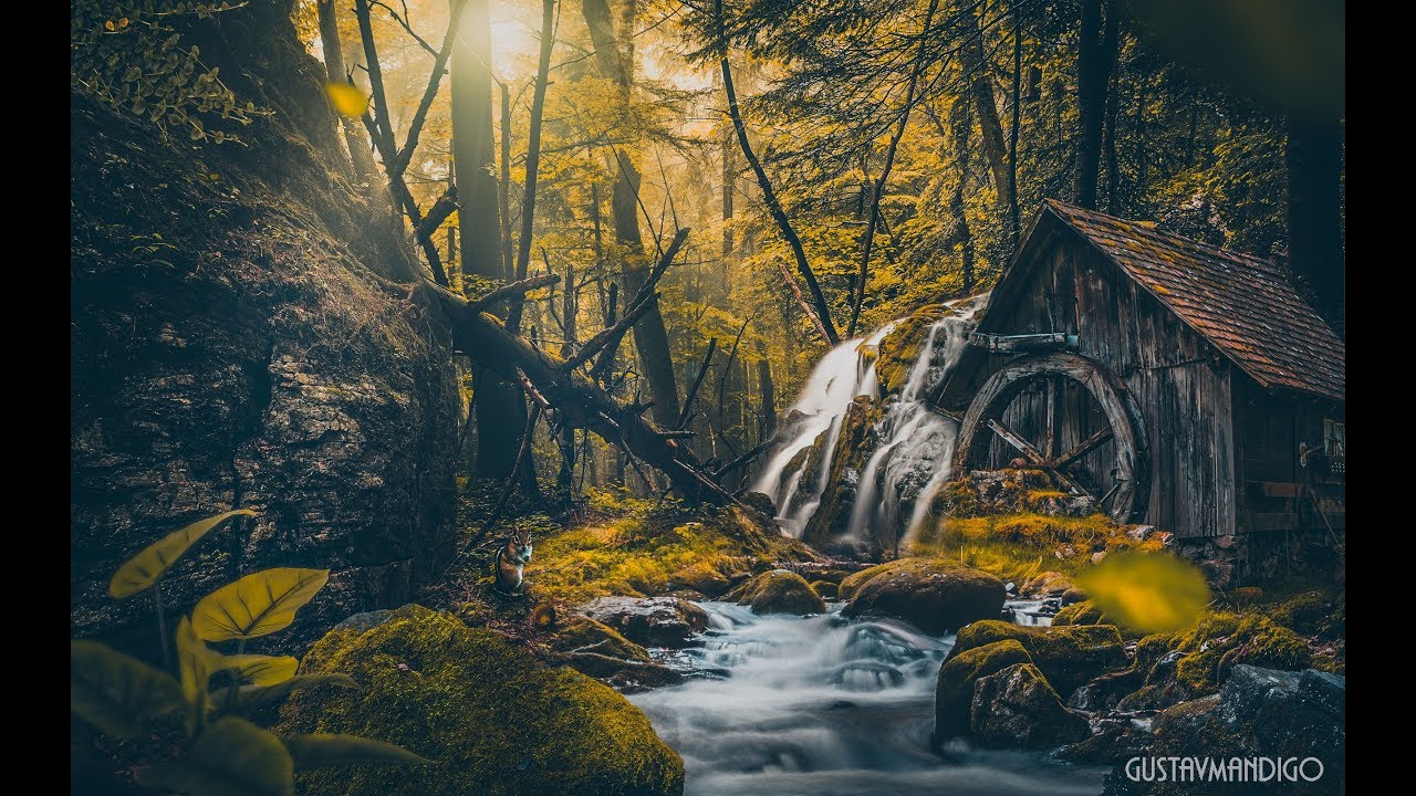 [Photoshop Manipulation] Green Forest - Tutorial - YouTube