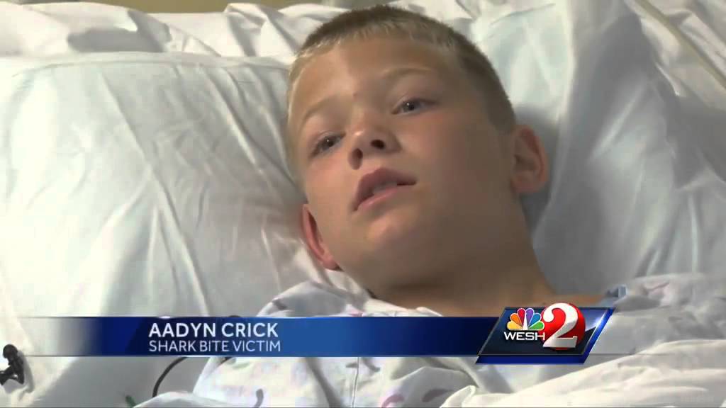 Boy hospitalized after shark bite in Brevard County - YouTube