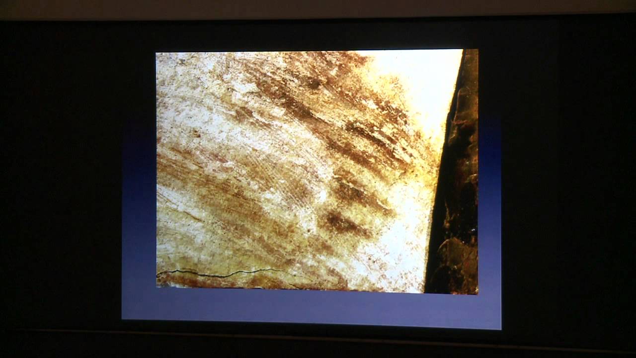 Provost Lecture - Mark Norell: How Fossils Reveal the Evolution of ...