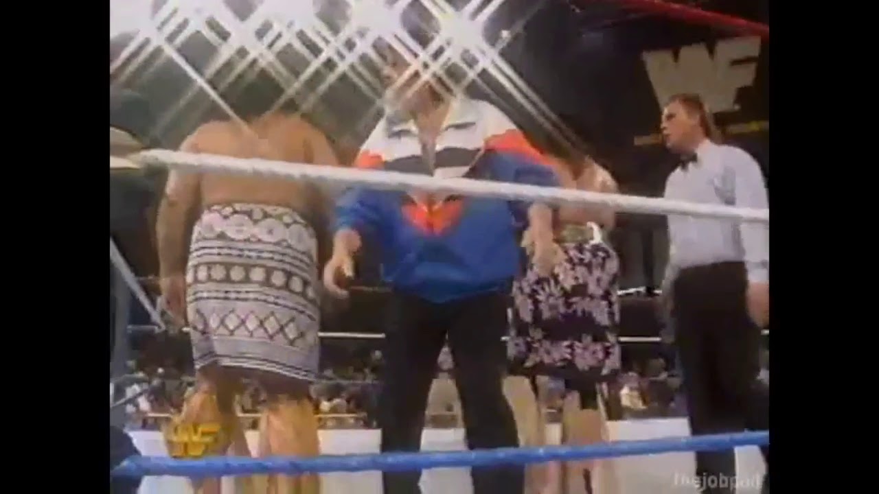 Headshrinkers vs Jobbers Curtis Harrison & Lou Marconi WWF Superstars ...