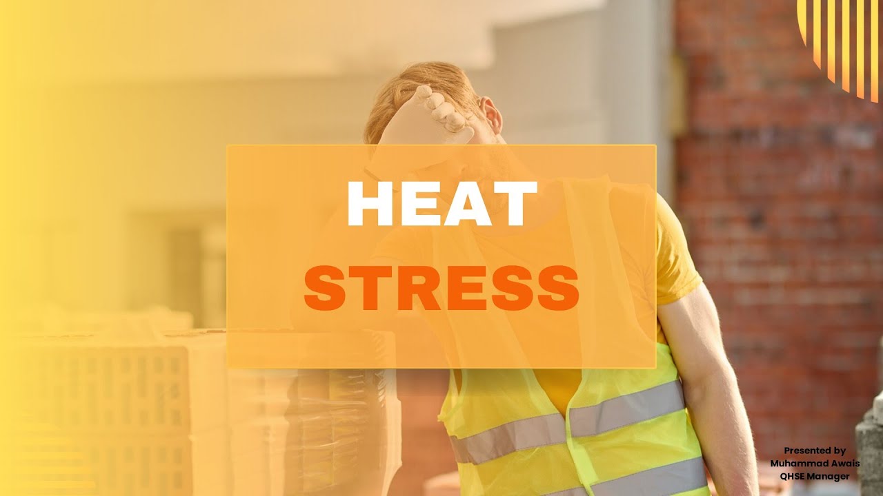 Heat Stress Understanding and Preventing: Essential Tips for Staying ...