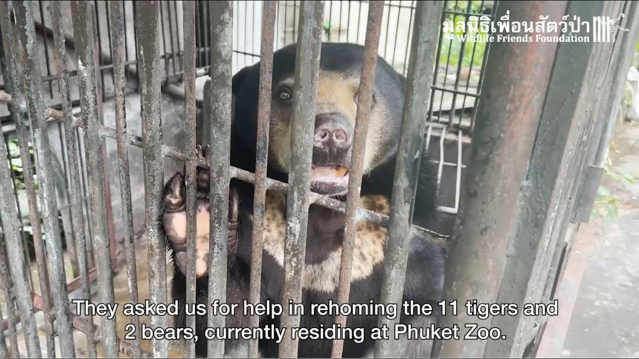 WFFT Highlights December 2021 - YouTube