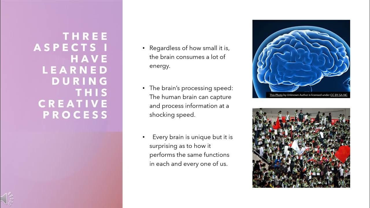 OPV 122 ASSIGNMENT BRAIN MODEL - YouTube