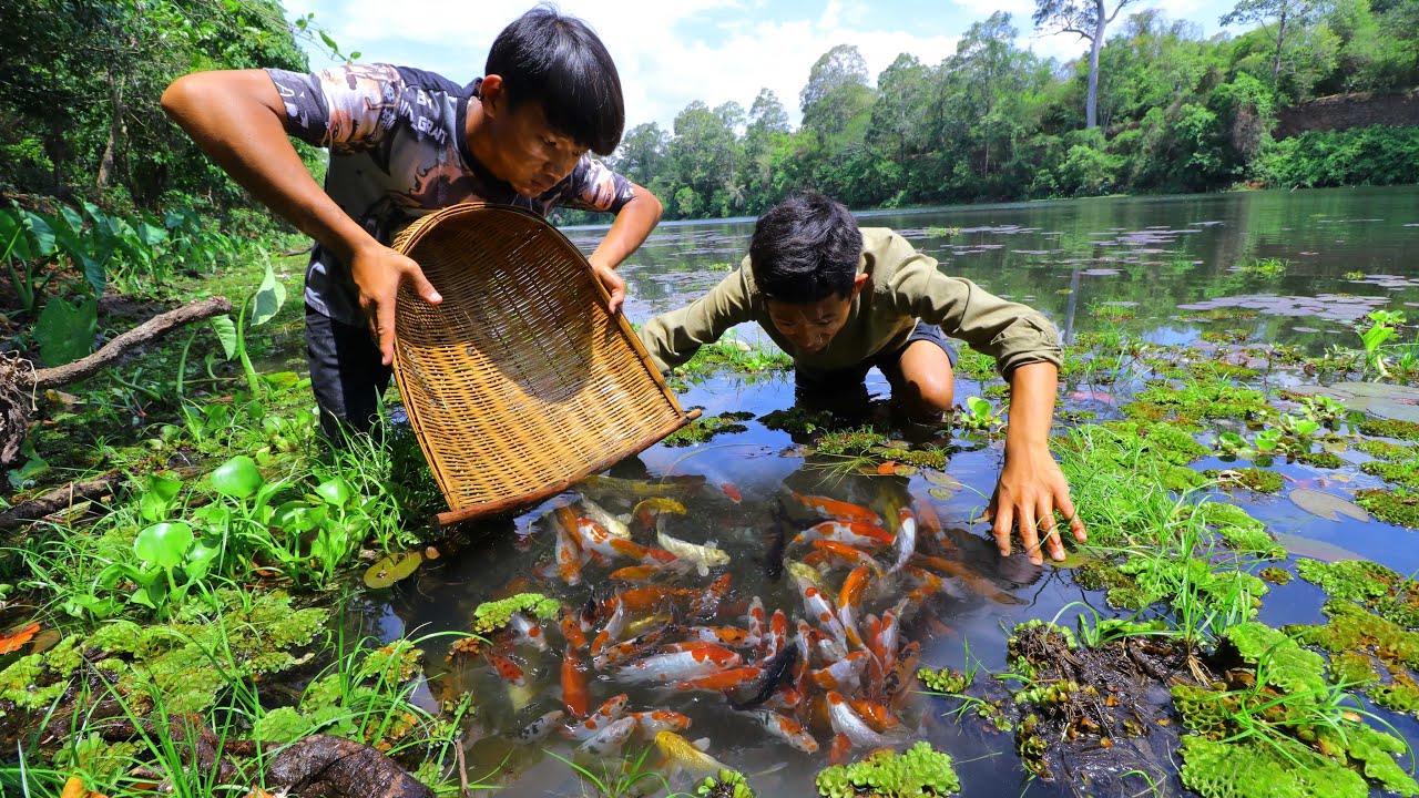 Lucky Holiday_Founding A lot of Beautiful Koi Fish in River Catching By ...