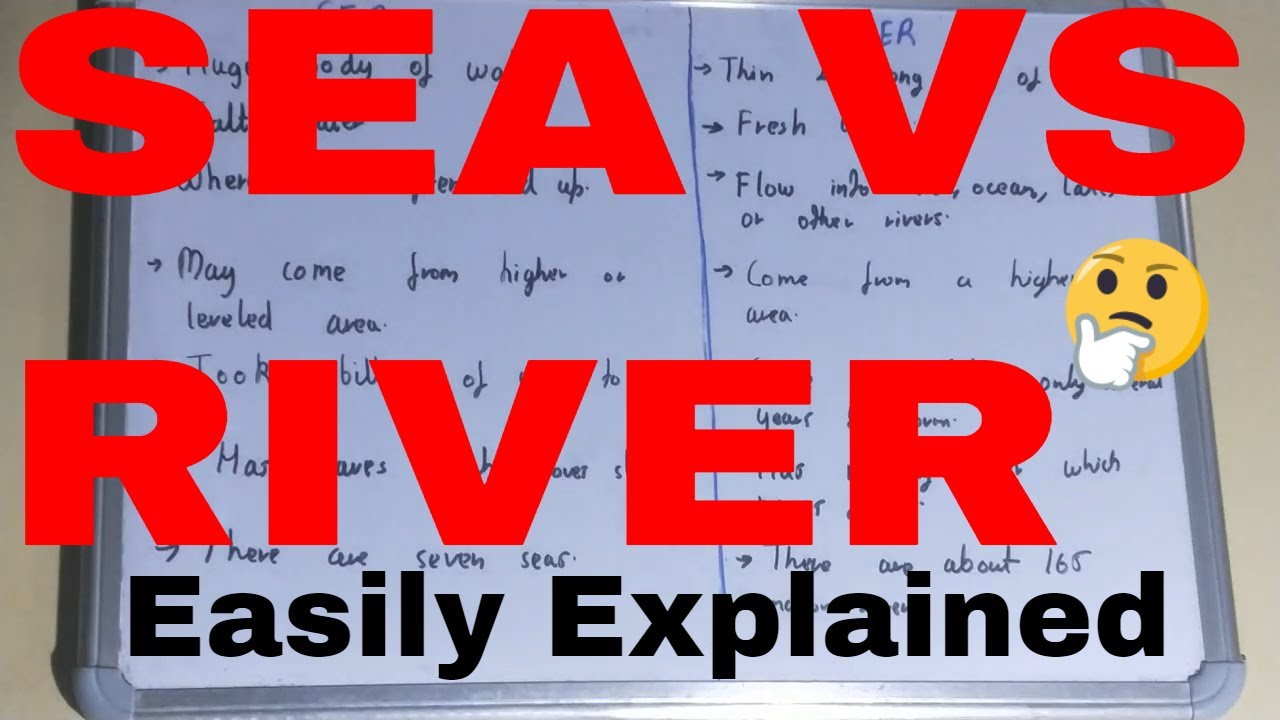 Sea vs River|Difference between sea and river|Sea and river difference ...
