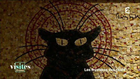 Le chat noir - Visites privées - YouTube