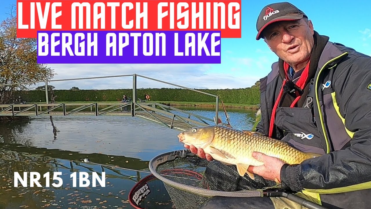 Live Match Fishing Bergh Apton lake, #matchfishinguk # ...