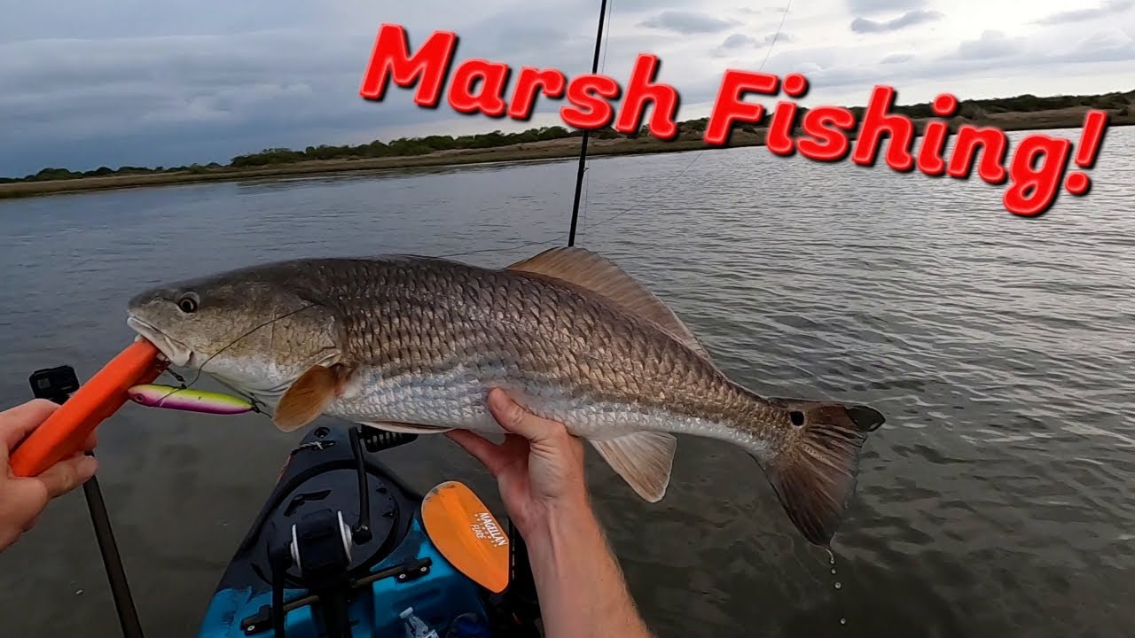 Marsh Fishing Kayak Trip With Isaac Redfish And Black Drum - YouTube
