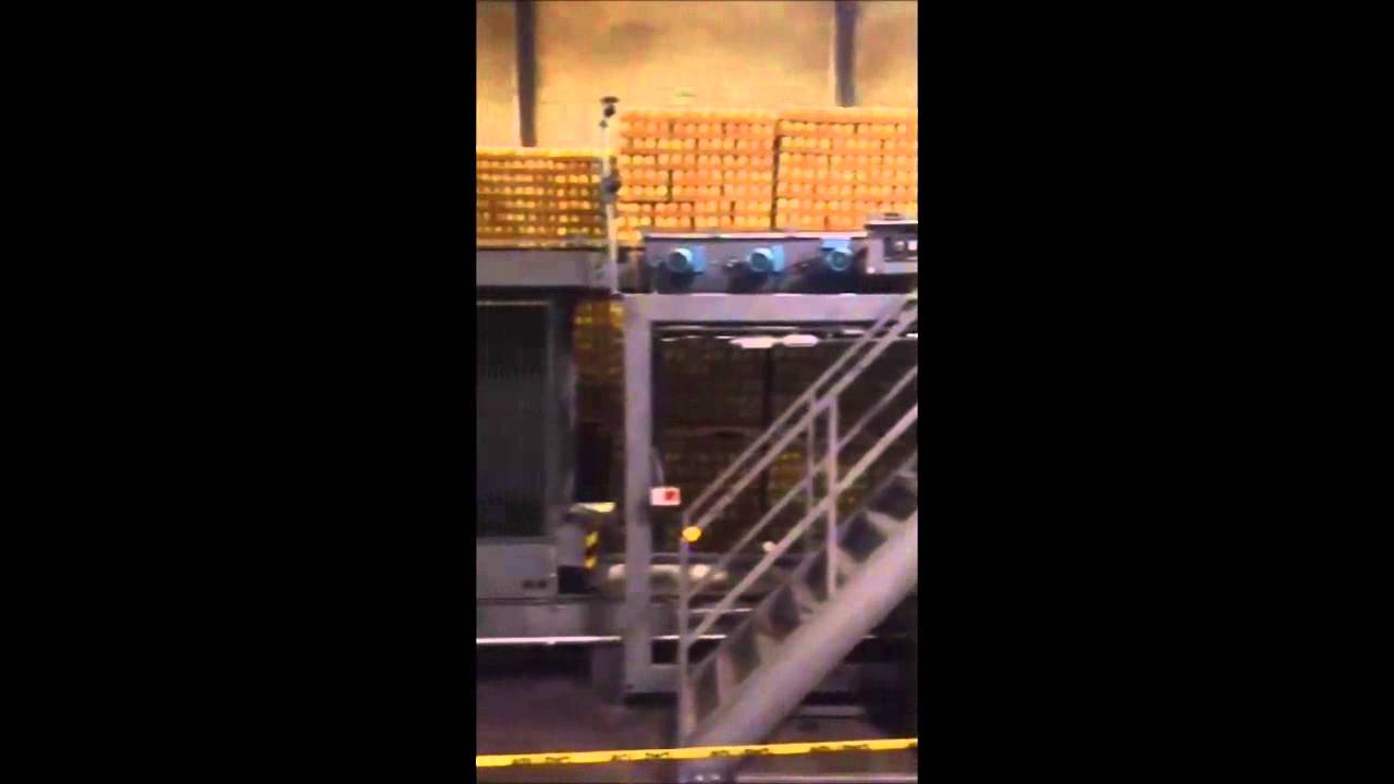 Sigma Packaging Whallon High Level Infeed Palletizer B3607 Operational ...