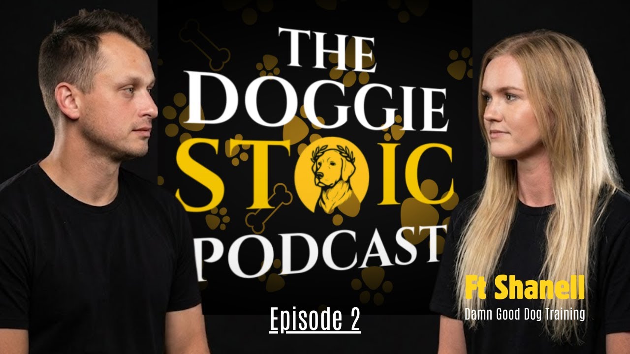 Play-Based Dog Training That Actually Works | Shanell from Damn Good ...