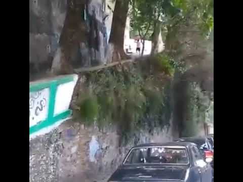 Bluezao levando a mala da Pamela na cabeça