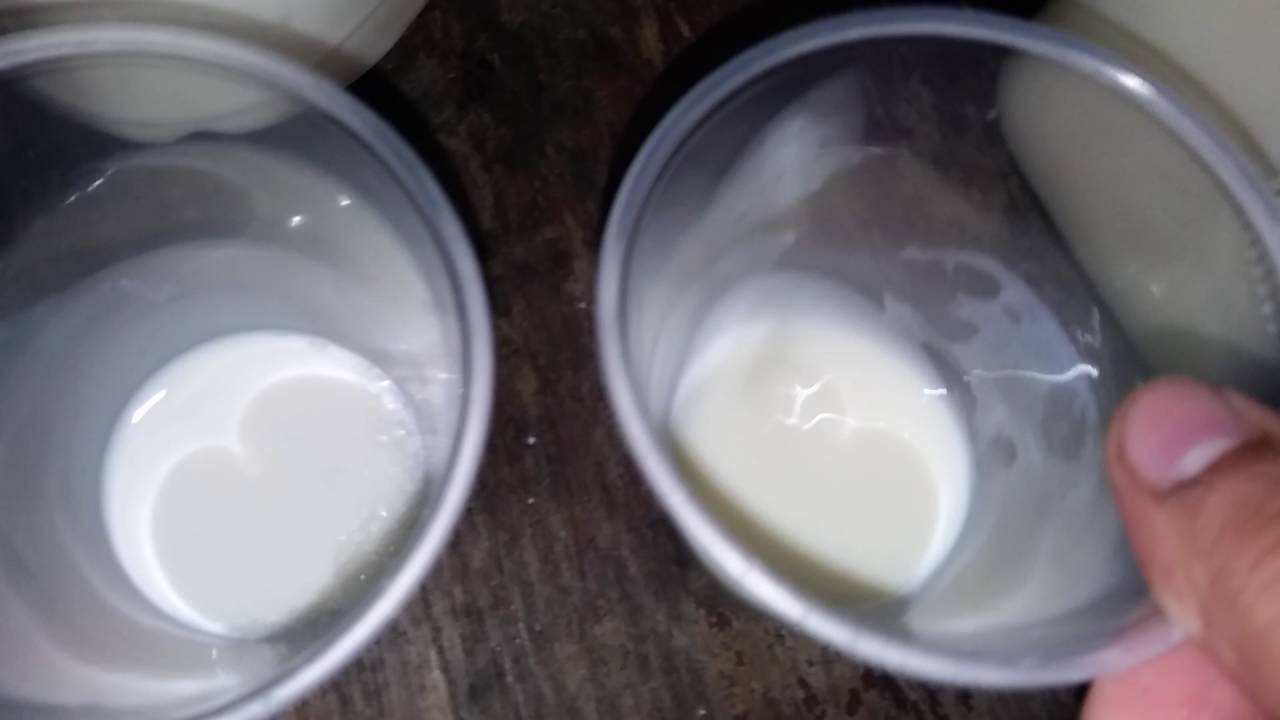 Generic milk vs pure milk - YouTube