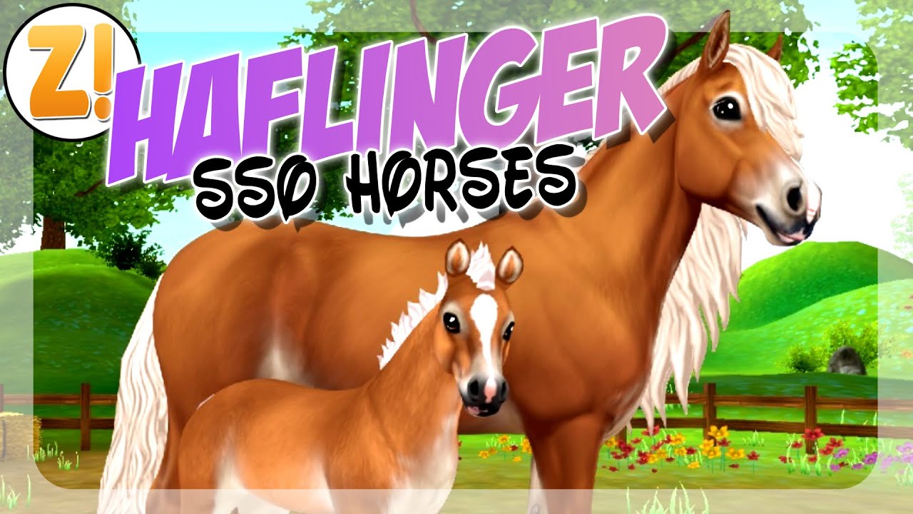 STAR STABLE HORSES NEUER HAFLINGER 🐴 | Star Stable [SSO] - YouTube