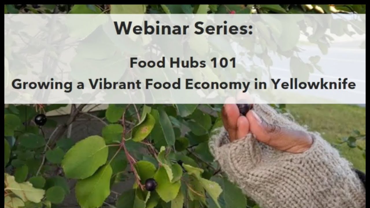 Food Hubs 101: Yellowknife Food Hub Feasibility Study Findings and Next ...
