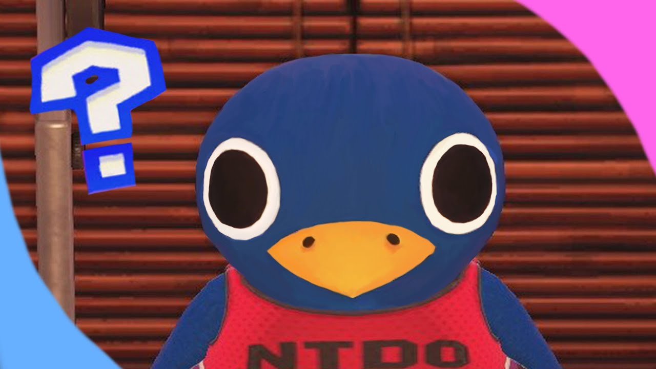 Roald's Question | Animal Crossings New Horizon - YouTube