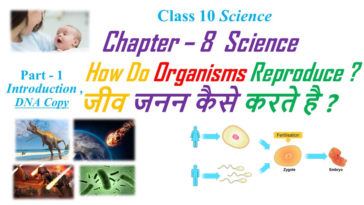 How Do Organisms Reproduce ? | Part-1 | Class 10 Science | Chapter 8 ...