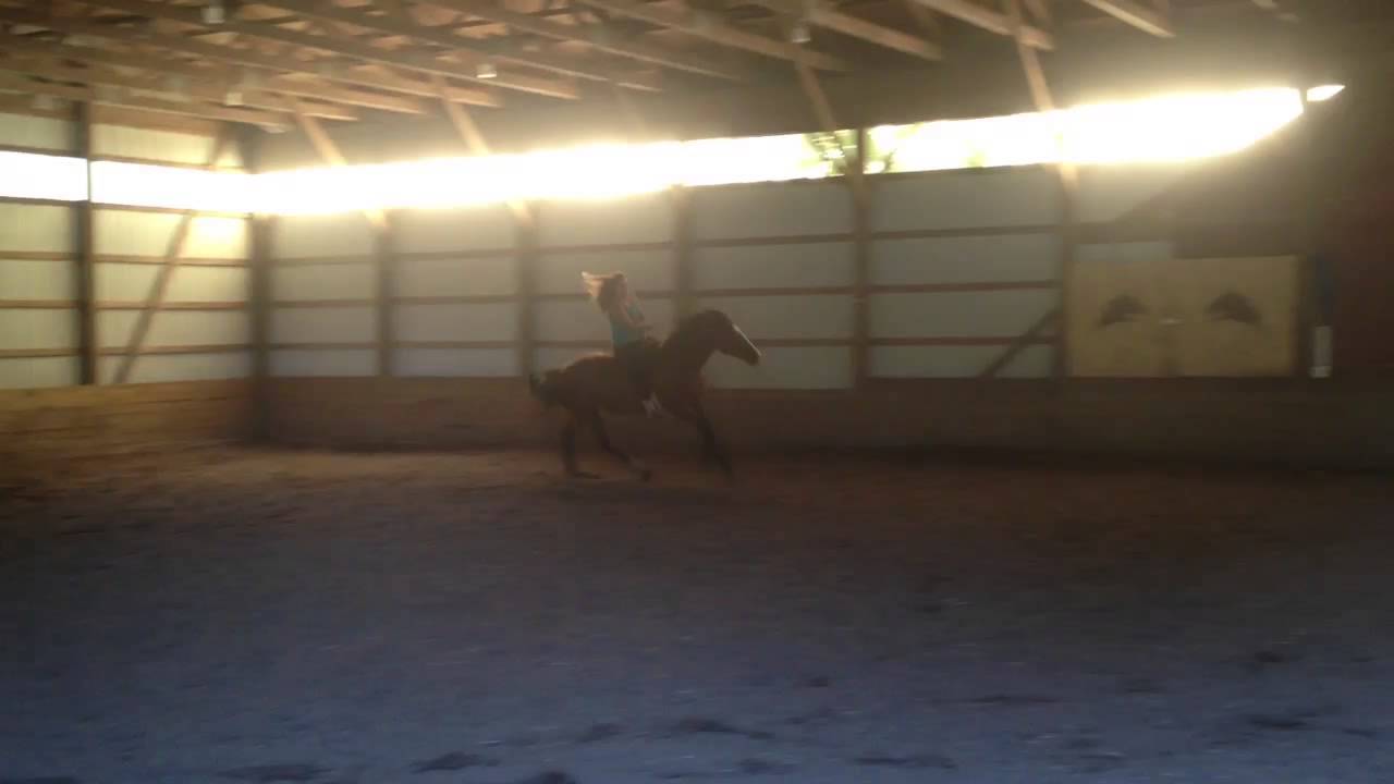 Bareback and bridleless flying changes - YouTube