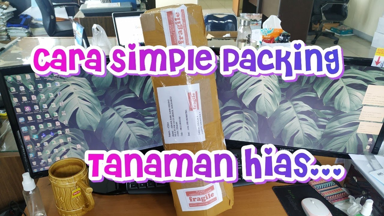 Cara Simple Packing Tanaman Hias - YouTube