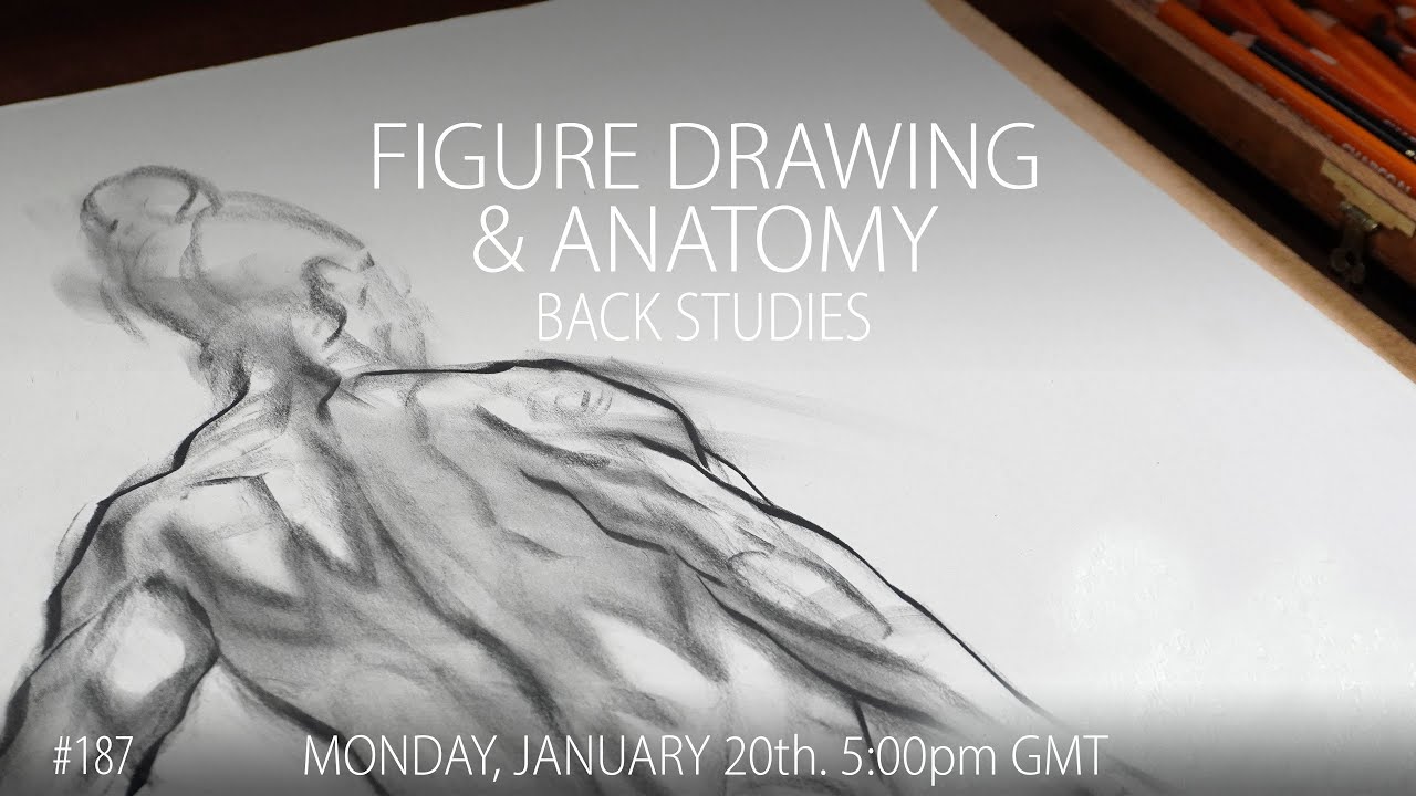 Figure Drawing - Back Studies #187 - YouTube