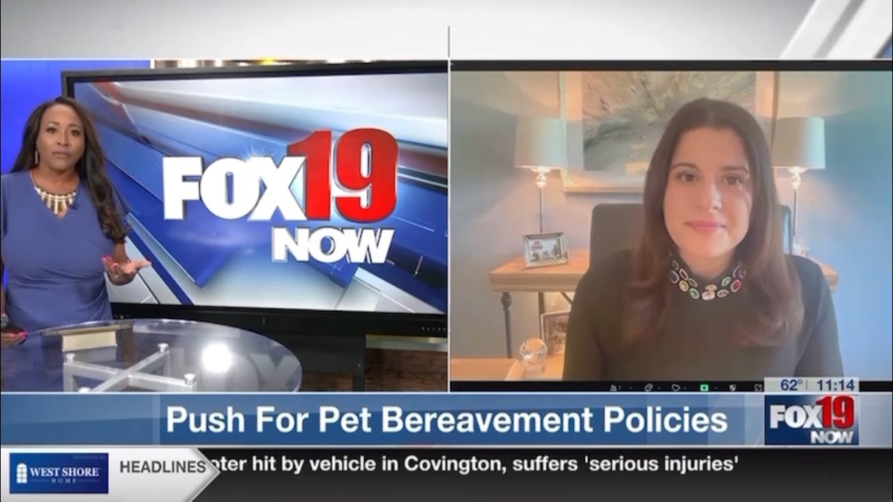 FOX 19 Cincinnati - YouTube