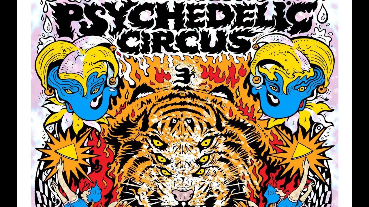 The Snozzberries Psychedelic Circus LIVE at Asheville Music Hall 11-17 ...