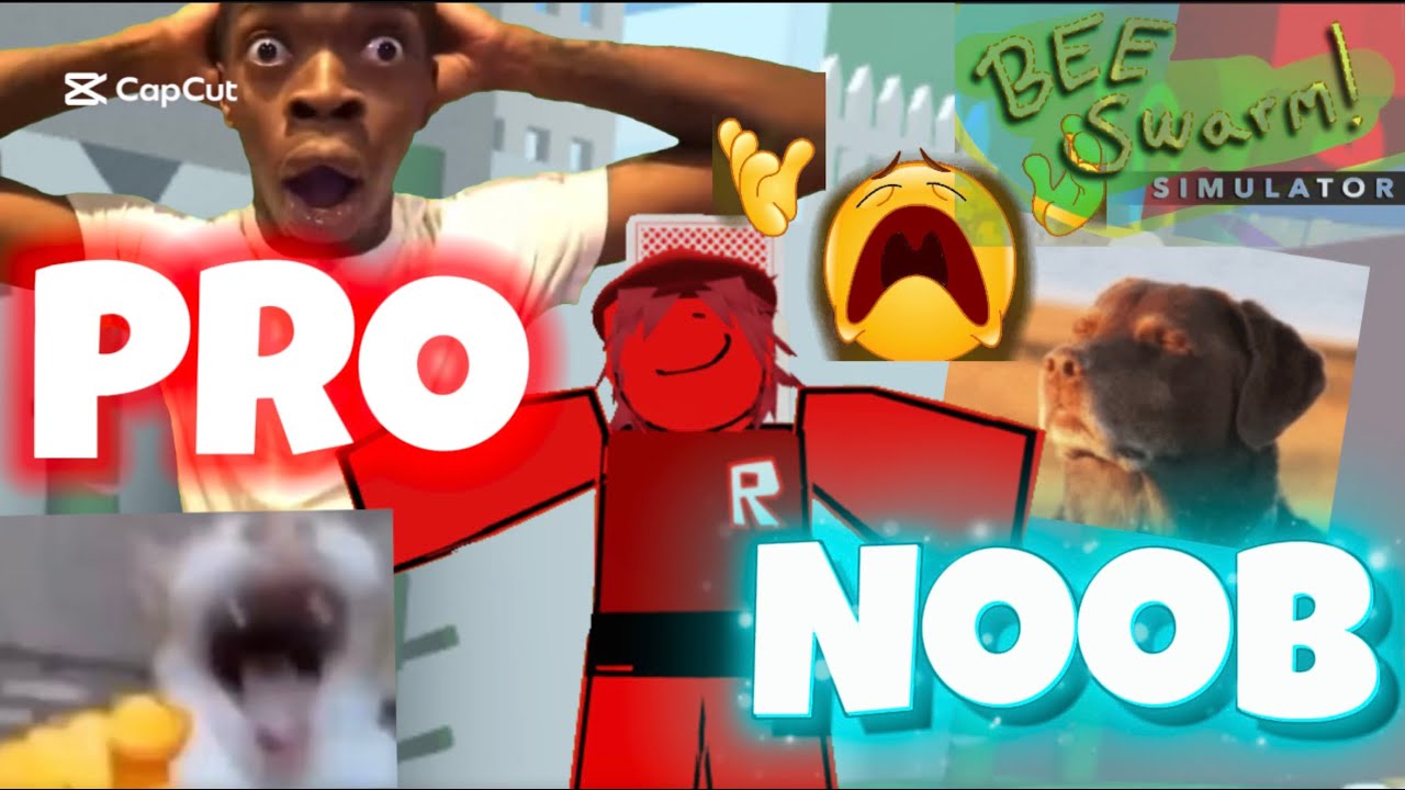 PRO vs NOOB In BSS Who’s Better? Funny Moments🤣😎 - YouTube