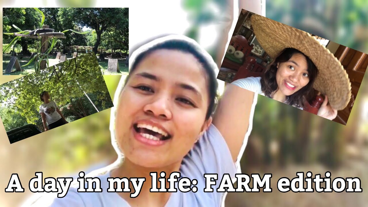 A Day In My Life at the Farm| Province Life| Simple Life| Philippines ...