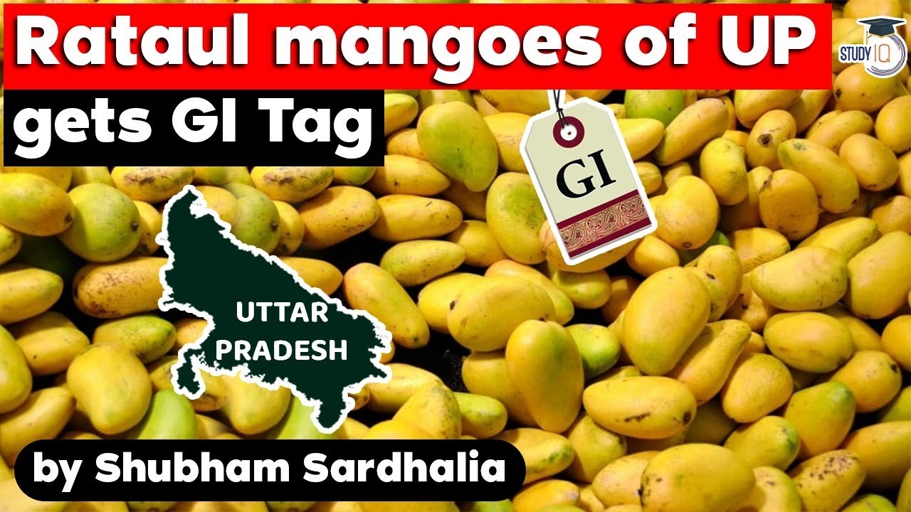 Geographical Identification Tag awarded to Rataul mangoes | UP PSC ...
