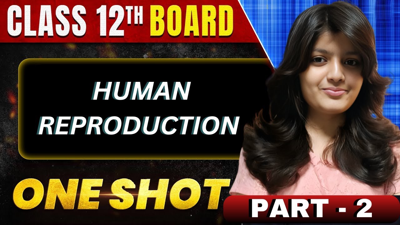 HUMAN REPRODUCTION CLASS 12 ONE SHOT | ALL PYQ AND REVISION | HUMAN ...