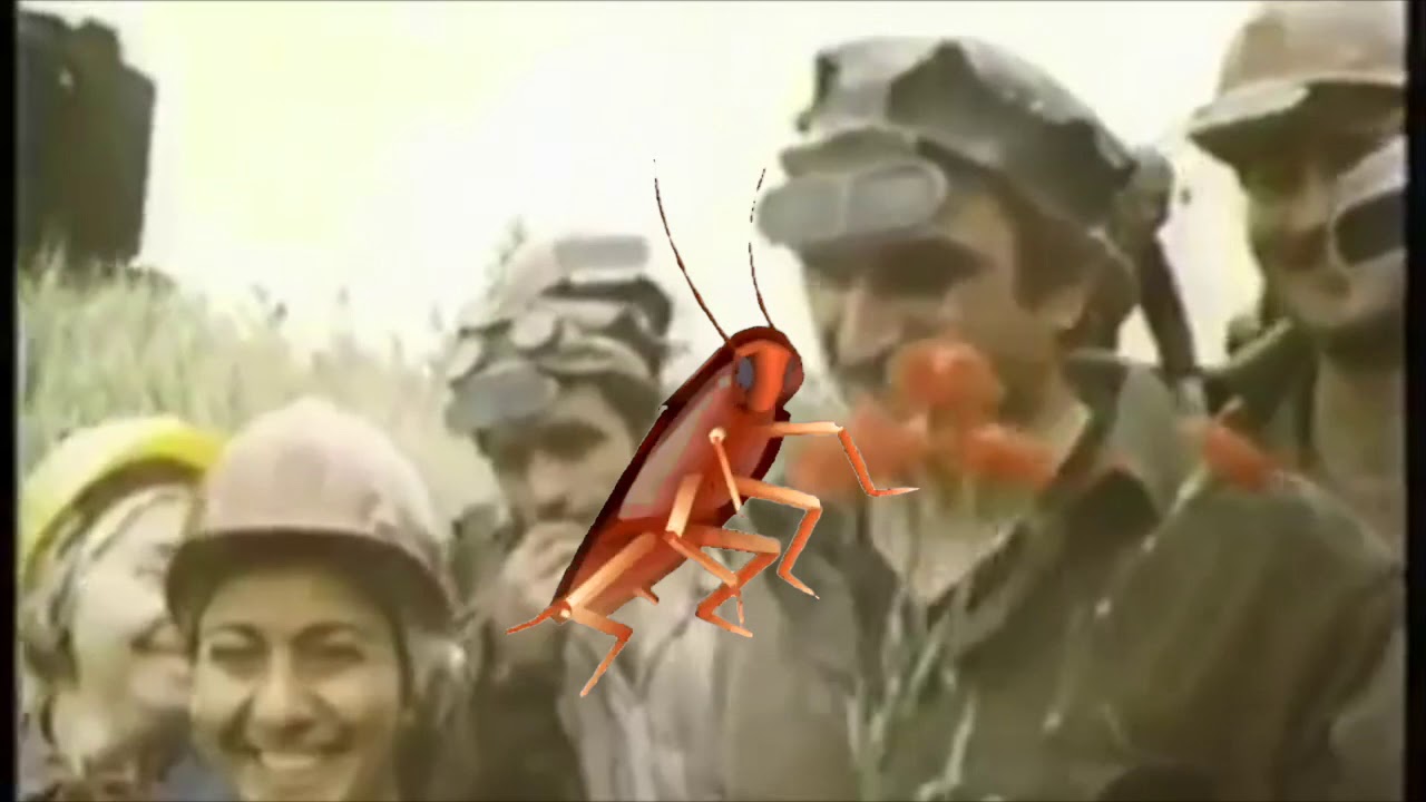 Dancing Cockroach Meme Compilation - YouTube